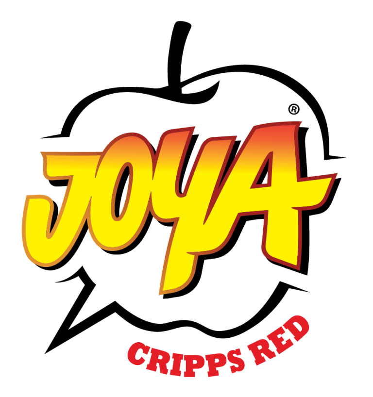 BRANDS – CITITEX GROUP